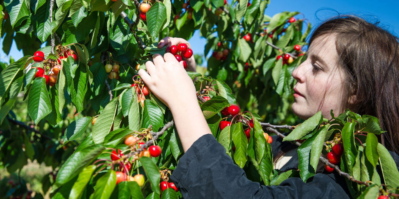 Seizoenswerk contract, subsidie en aandachtspunten